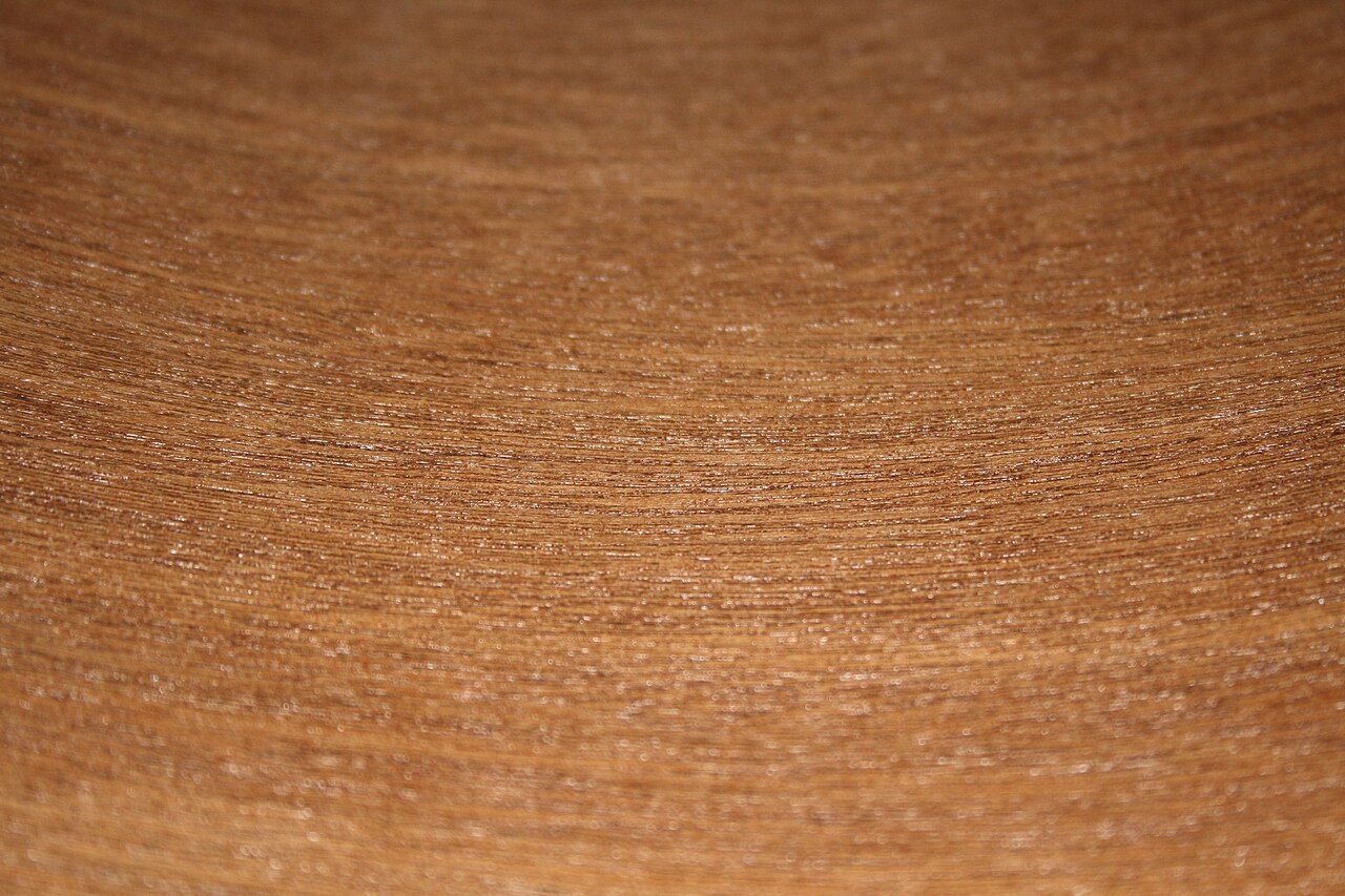 KAPUR SAAL WOOD (DRYOBALAUOPS LANCEOLATA) – You Construct