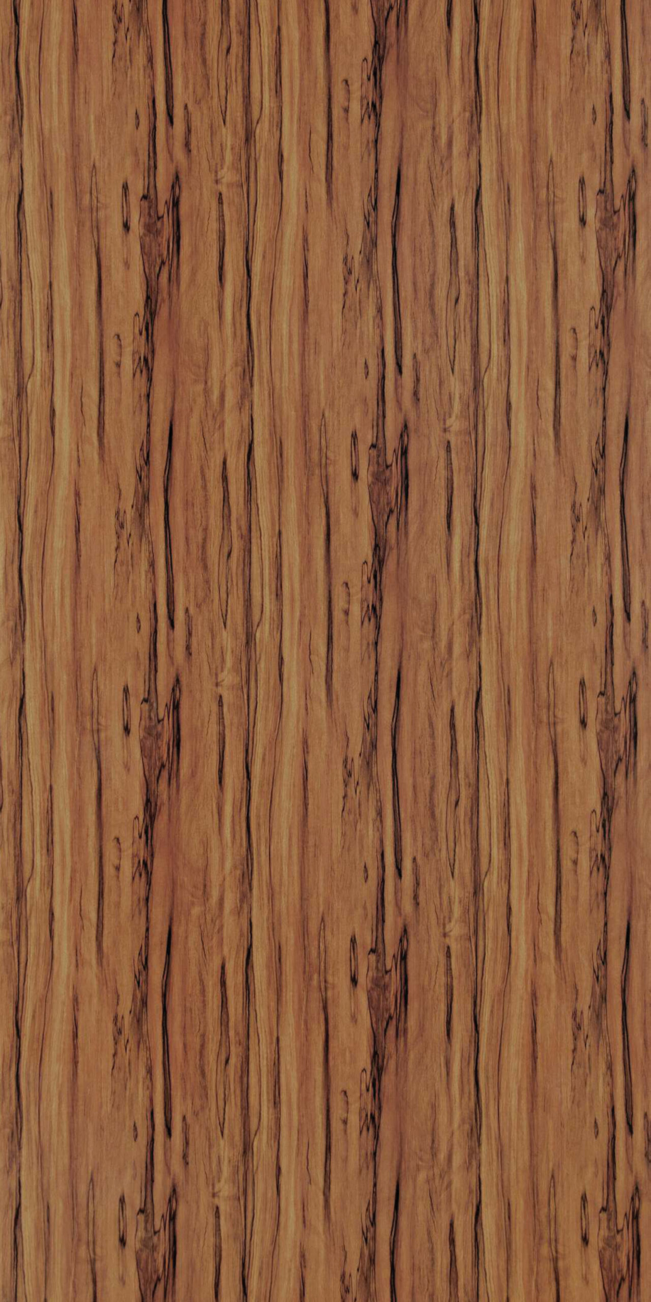 Embrace Exotic Elegance with Virgo’s Bright Zebra Wood Laminate – You ...