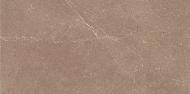 NATIVE BROWN /MOTTO/ 600X1200MM(2X4FT)/NATIVE COLLECTION /MATT FINISH ...